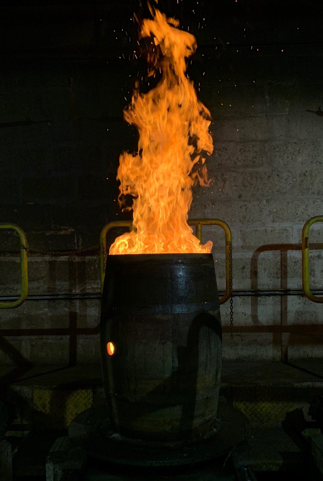 50th Anniversary Trilogy II: Cask Innovation - The GlenAllachie Distillery