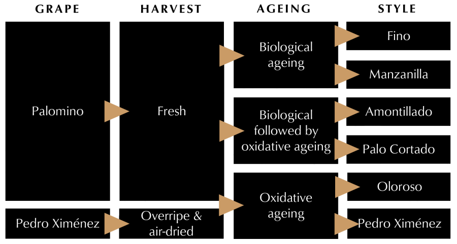 The GlenAllachie's Guide to Sherry - The GlenAllachie Distillery