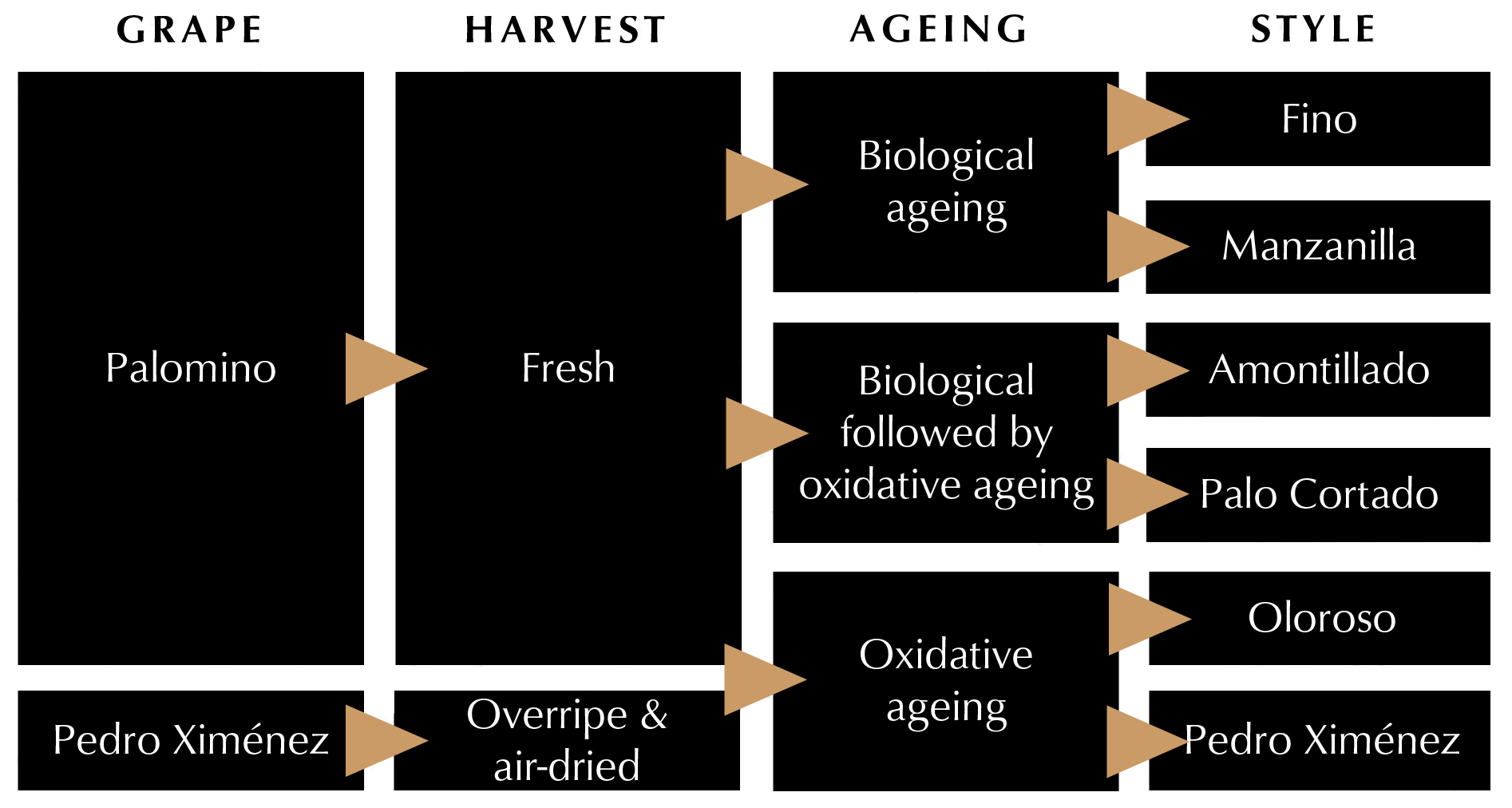 The GlenAllachie's Guide to Sherry - The GlenAllachie Distillery
